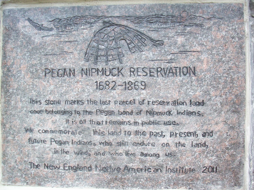 Who is a Pegan? – Cheryll Toney Holley